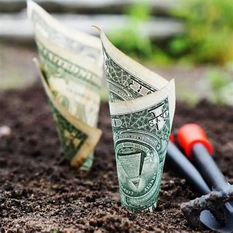 Edtech Startup Scaler Acquires Pepcoding To Bolster Ug Offerings