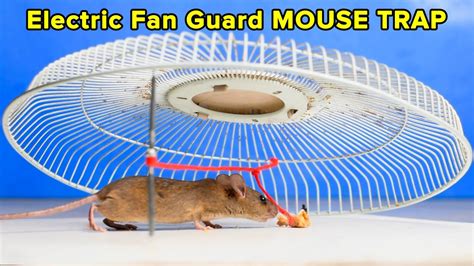 Electric Fan Guard Mouse Trap Humane And Easy Diy Rat Trap Homemade