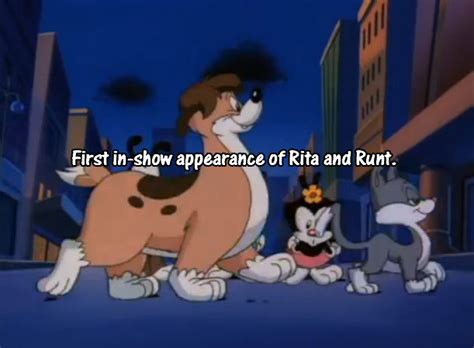 Animaniacs References Guide “piano Rag” Rita And Runt Have Their First