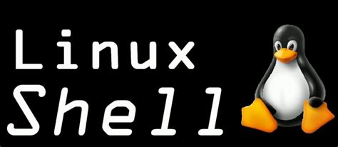 ¿cómo Usar La Shell En Linux Lathack