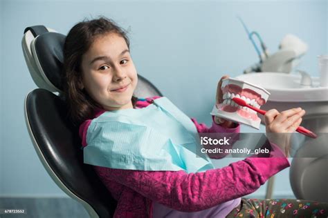 치과 자 칫 솔 치과 사무실에서 치과 턱 모델 및 칫 솔을 사용 하 여 적절 한 표시에 웃는 여자 치과 조기 예방 구강 위생 개념 개념에 대한 스톡 사진 및 기타 이미지