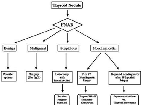 Solitary Thyroid Nodule