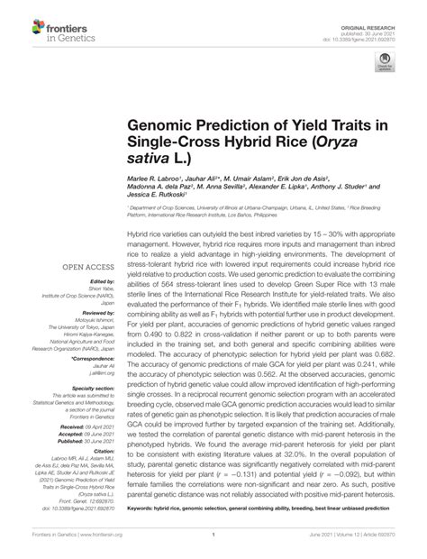 Pdf Genomic Prediction Of Yield Traits In Single Cross Hybrid Rice Oryza Sativa L