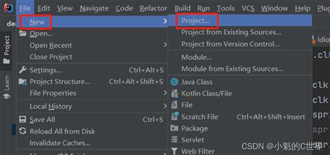 使用idea2021创建一个springboot项目，并实现查询功能idea2021创建springboot项目 Csdn博客