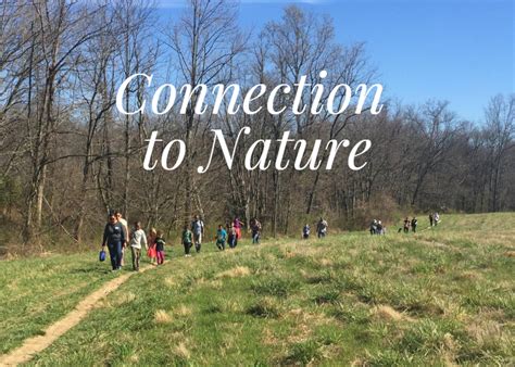 Our Work Community Ecology Institute