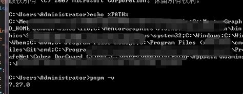 Pnpm