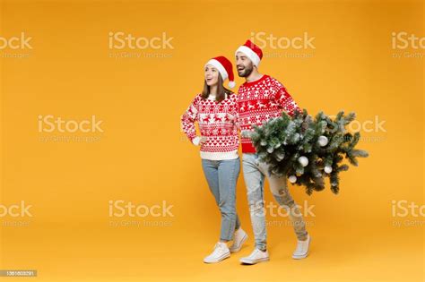 빨간 스웨터 크리스마스 모자를 쓰고 흥분 쾌활한 젊은 산타 커플 친구 남자 여자의 전체 길이 노란색 배경 스튜디오에서 고립 된 전나무 나무를 개최합니다 새해 복 많은 연말