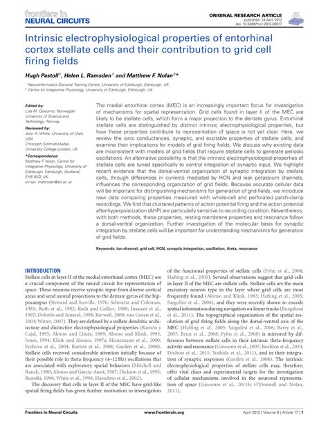 Pdf Intrinsic Electrophysiological Properties Of Entorhinal Cortex