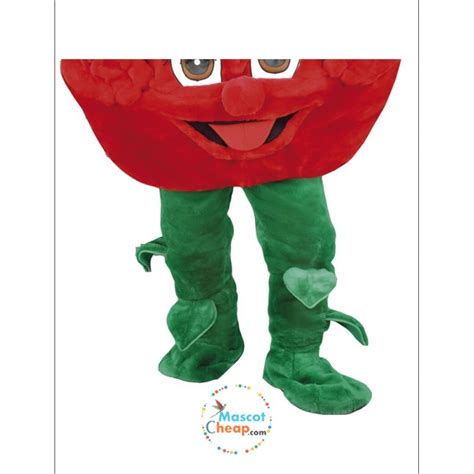 Lovely Raspberry Mascot Costume