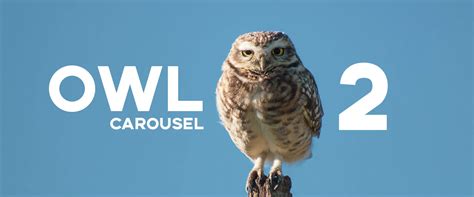 owl carousel html css