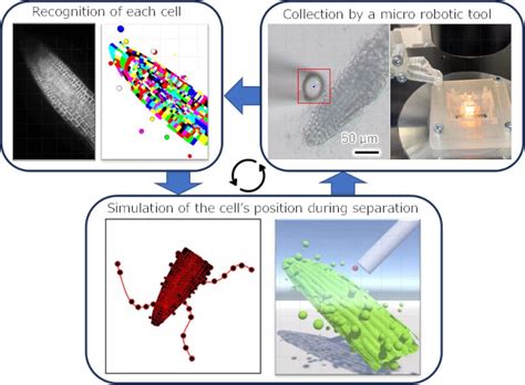 Moonshot R DProgress Report Goal Scientific Applications