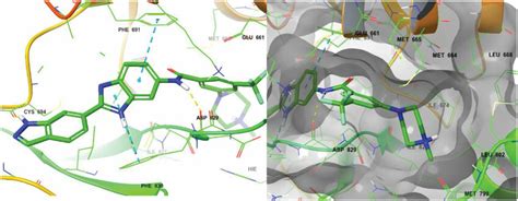 Docking Structure Of Compound 8a At The Active Site Of Flt3 Left And