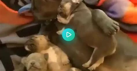 Snooze Album On Imgur