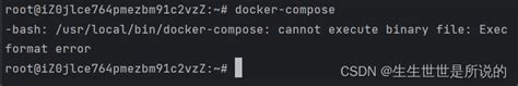 为linux安装软件包时后面标注的armaarch到底是什么玩意儿以二进制安装docker Compose为例 Csdn博客