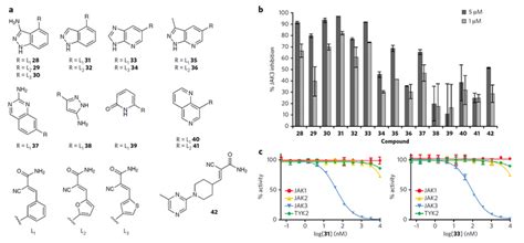 Reversible Covalent Jak3 Inhibitors Discovered Via Docking A First