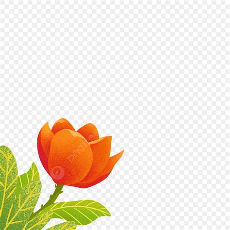 밝은 꽃 일러스트 녹색 잎 패션 향기로운 밝은 꽃 녹색 잎 녹색 Png 일러스트 및 Psd 이미지 무료 다운로드 Pngtree