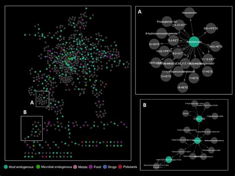Network Of Metabolic Pathways Reconstructed From Metabolites Detected