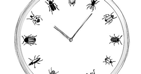 Hasan Savran How To Handle Datetime In Cosmos Db