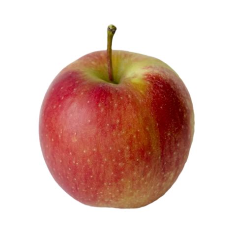 Jonagold Champlain Orchards