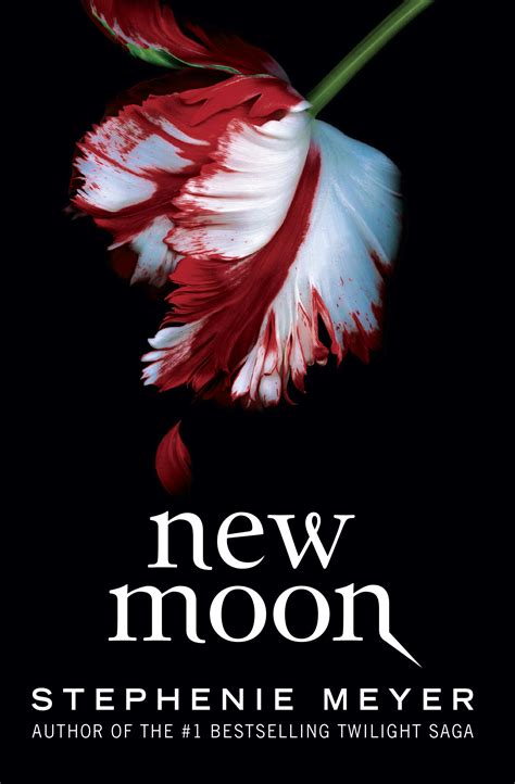 Twilight New Moon Book