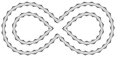 Download Abstract Dna Helix Infinity Svg Freepngimg