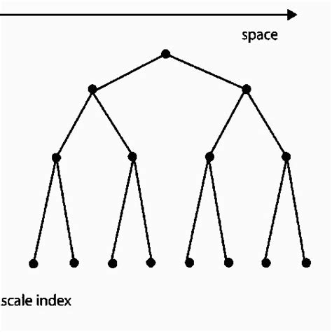 the binary tree of detail coefficients each node at a scale is