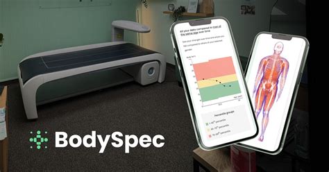 The Dexa Scan Body Fat Muscle And Bone Density Testing Bodyspec