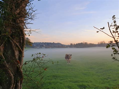 How Do You Show Your Constant Popups R Unity3d