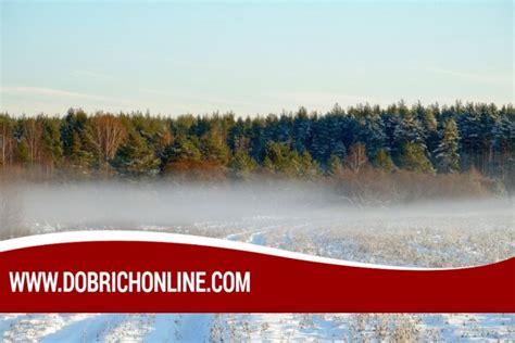 Земеделските стопани могат да подават заявления за щети от измръзване и слана до 10 работни дни