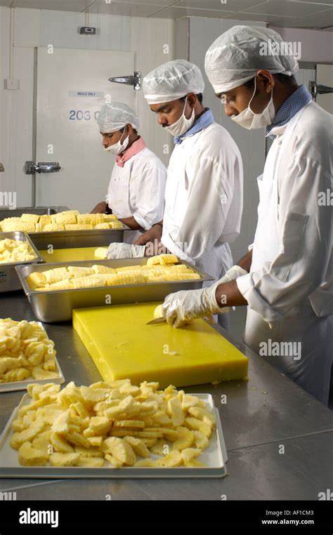 Types Of Food Processing Units At Anthony Griggs Blog