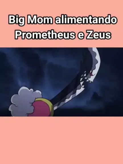 Musang Brother Discover