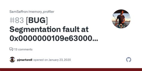 Bug Segmentation Fault At 0x0000000109e63000 Ruby 265p114 2019 10