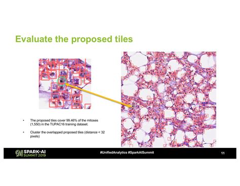 A Distributed Deep Learning Approach For The Mitosis Detection From Big