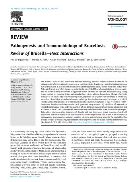 Pdf Pathogenesis And Immunobiology Of Brucellosis Review Of Brucella Host Interactions