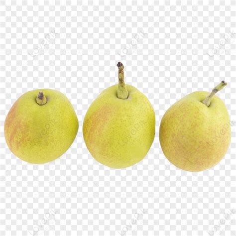 녹색 달콤한 과일 정물화자연스러운농업음식 Png 일러스트 무료 다운로드 Lovepik
