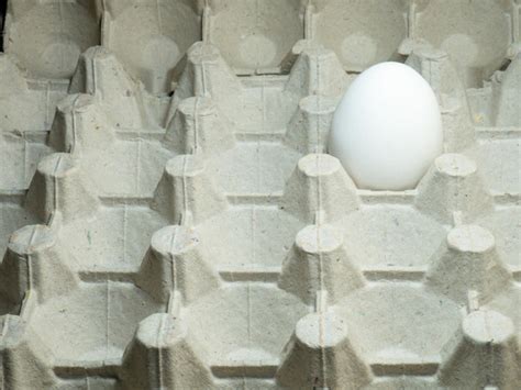premium photo egg in an empty package leftover products leftover food