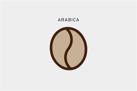 아라비카 로부스타 원두의 품질을 결정하는 품종 Coffee Guide