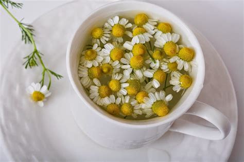 5 домашни рецепти за бързо пречистване на черния дроб За Жената