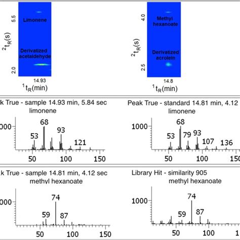 A Part Of The Gc×gctofms Chromatogram Showing The Separation In The Download Scientific