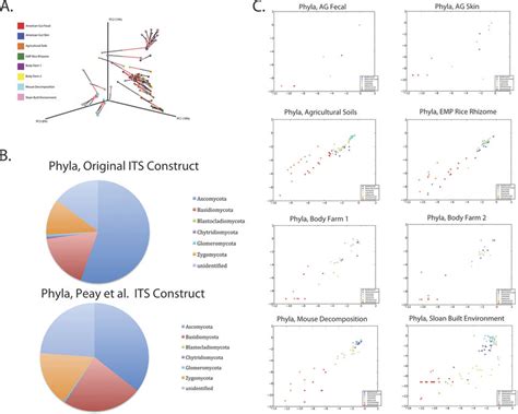 Comparison Of The Original Its Primer Pair And The New Modified Its Download Scientific