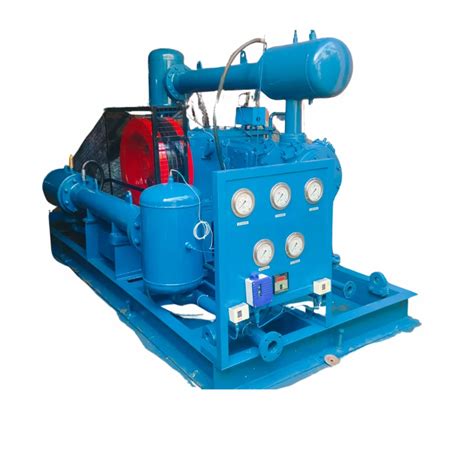 Reciprocating Gas Compressor 300 L At Best Price In Faridabad Id 2853610557348
