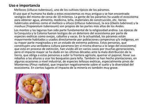 Ppt El Paramo Powerpoint Presentation Free Download Id1896835