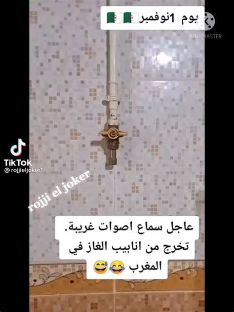 Akram Mourtadi On Linkedin How Moroccans Society Receive The Algerian