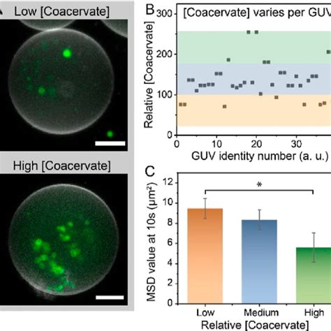 Investigation Of Coacervate Concentration And Its Effect On Motion Download Scientific Diagram
