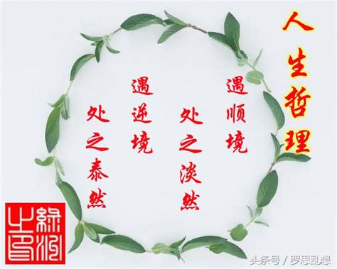 人生哲理图片，句句说得在理 每日头条