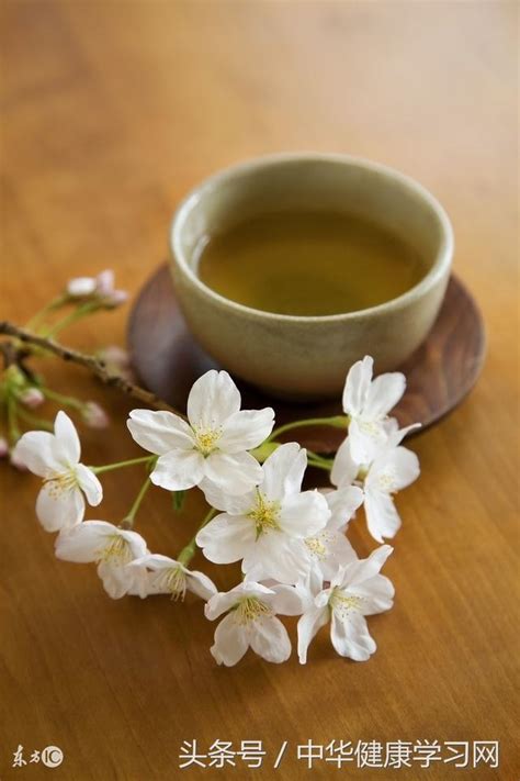 揭秘紅樓夢中的三類飲食養生之道 每日頭條