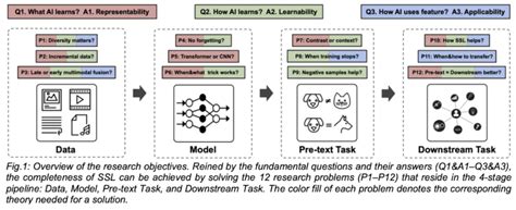 On The Completeness Of Self Supervised Learning Group Theory Causality And Their Combinations
