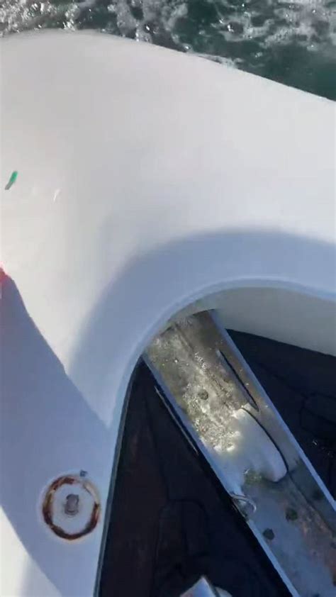 Joder Tío R Lmdshow