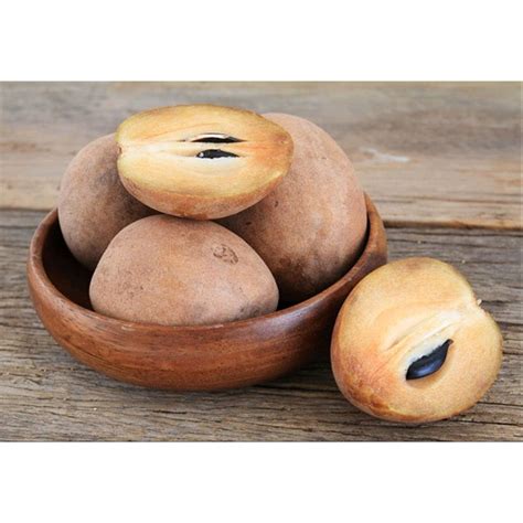 Jual 10 Benih Biji Buah Sawo Kecik Shopee Indonesia