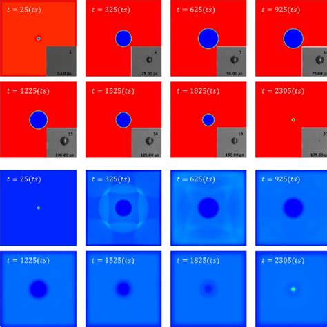 Single Cavitation Bubbles Grow And Collapse In An Infinite Liquid A Download Scientific